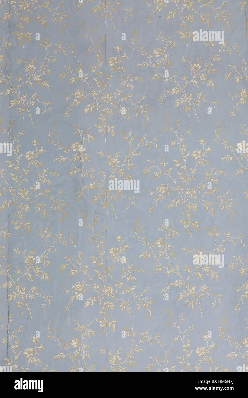 old wallpaper with baroque and antique pattern, blue background Stock ...