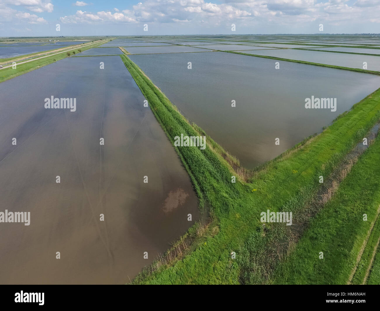 Flooded rice paddies. Agronomic methods of growing rice in the f Stock ...
