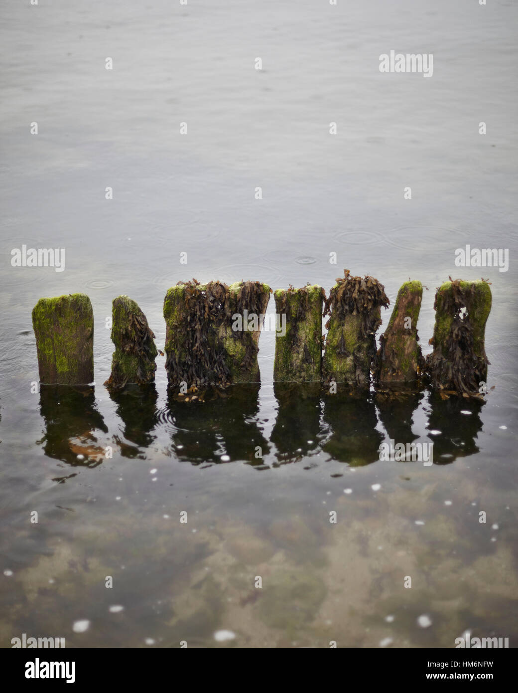 Row of piles hi-res stock photography and images - Alamy