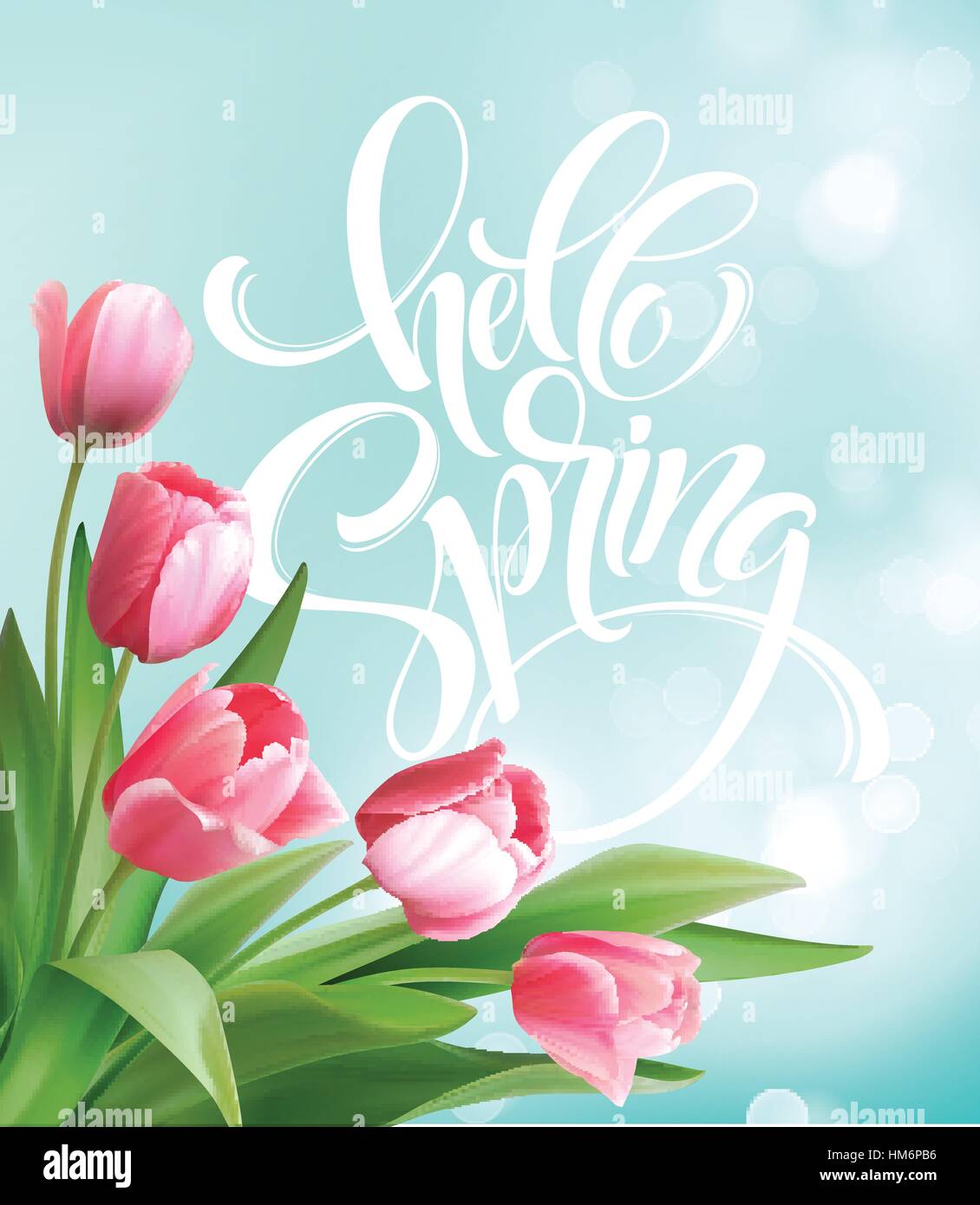 Hello Spring hand Lettering with tulip flower. Vector illustration ...