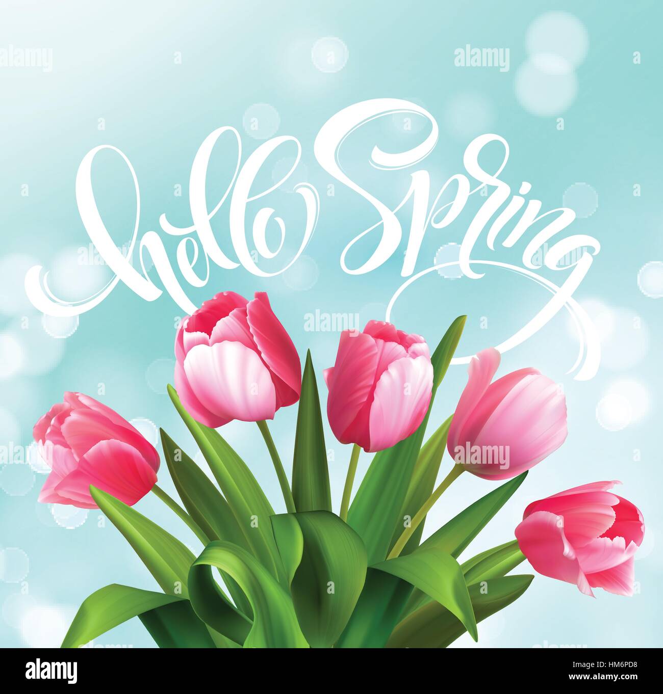 Hello Spring hand Lettering with tulip flower. Vector illustration ...