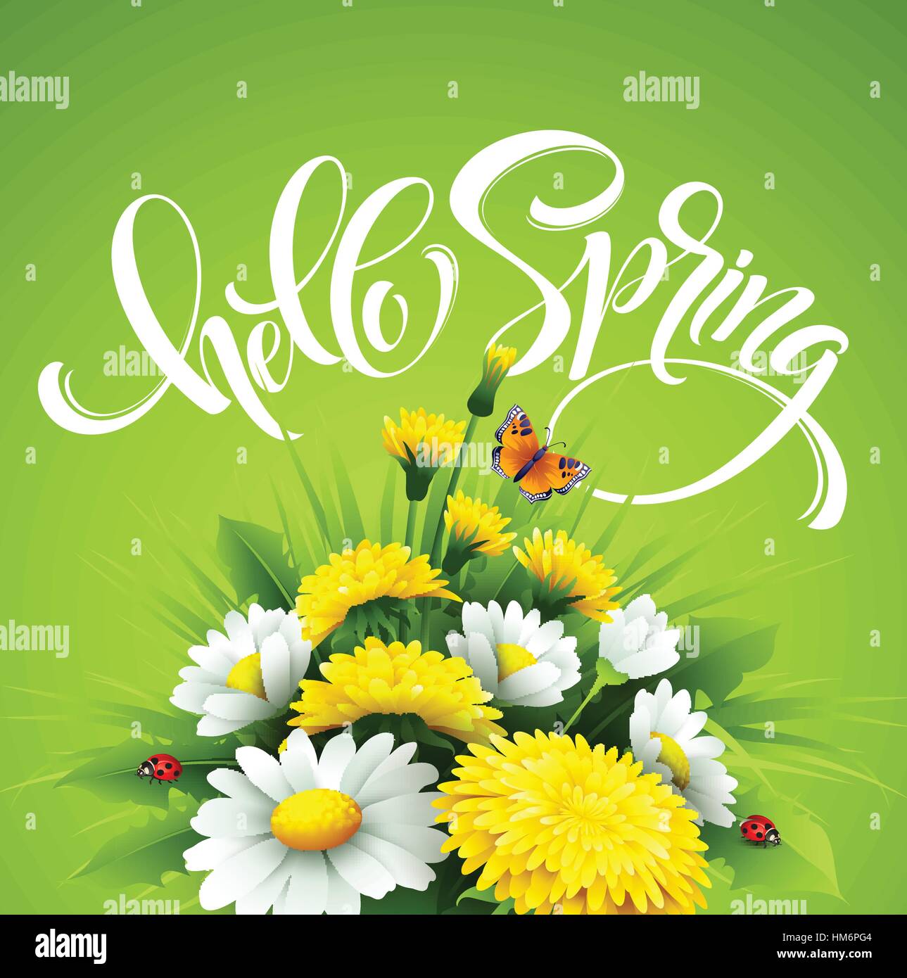 Inscription Hello Spring Hand Lettering on background with flowers ...