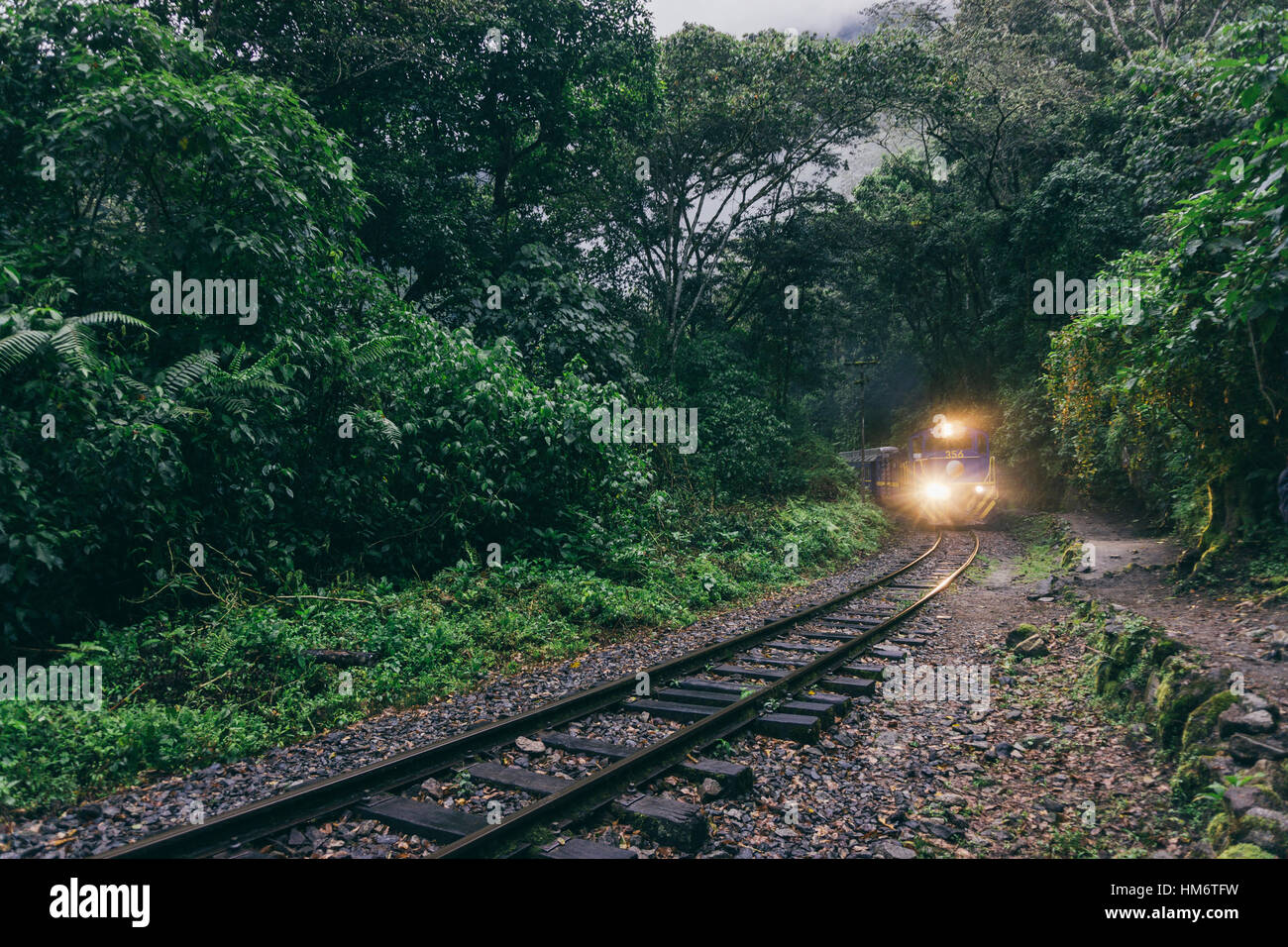 Train on railroad track amidst trees in forest Stock Photo - Alamy