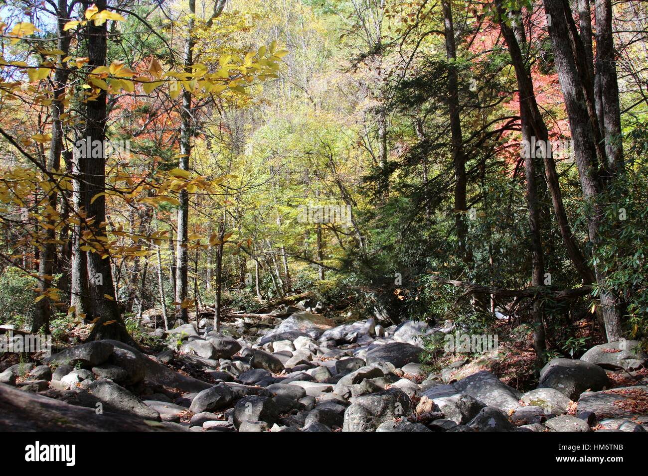 A autumn scene in the mountains of Tennessee Stock Photo - Alamy