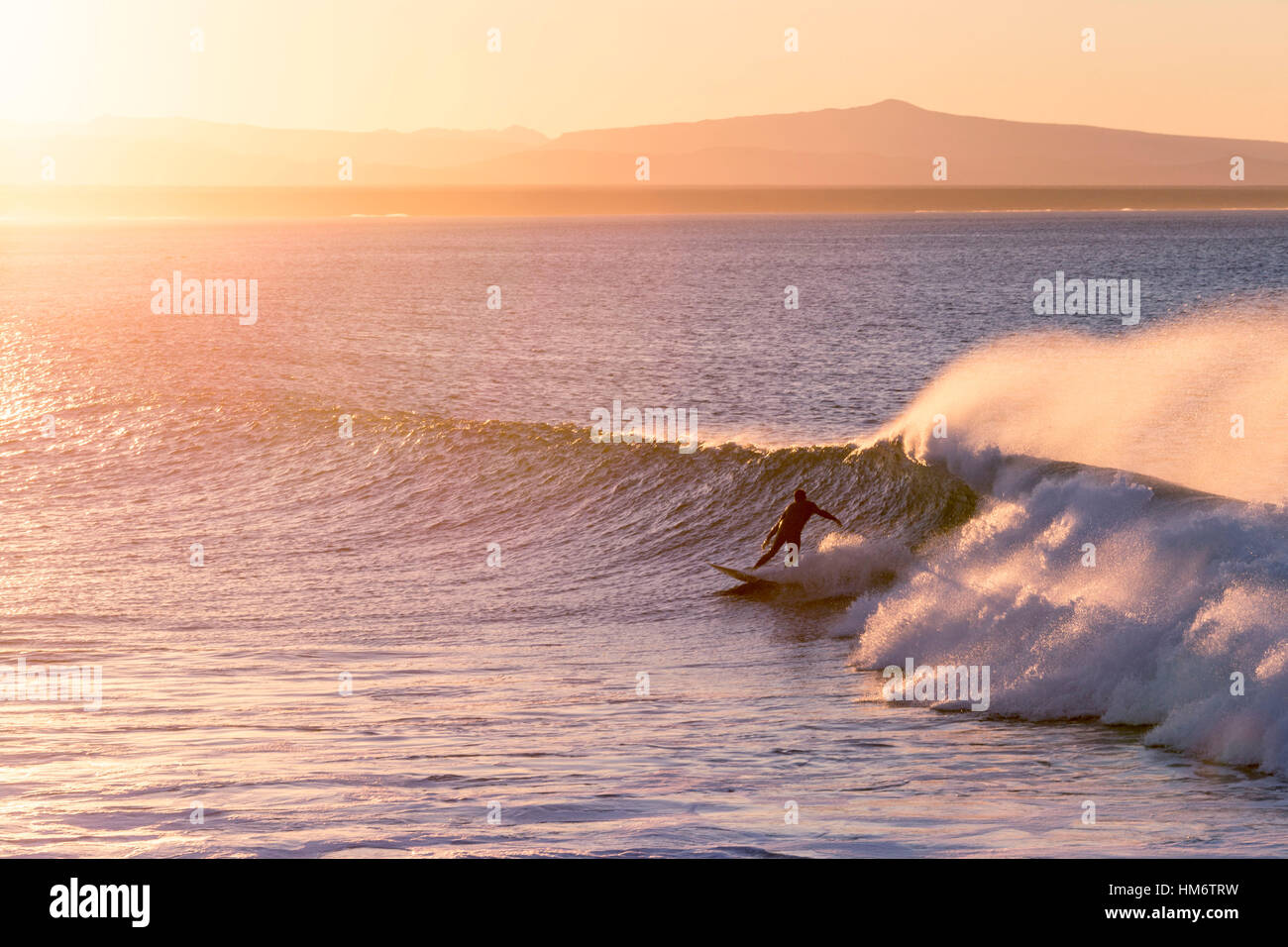 Old man surfing wetsuit hi-res stock photography and images - Alamy