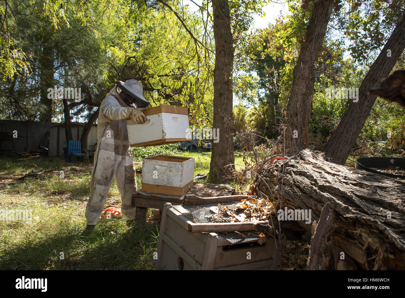 Beehive boxes hi-res stock photography and images - Alamy