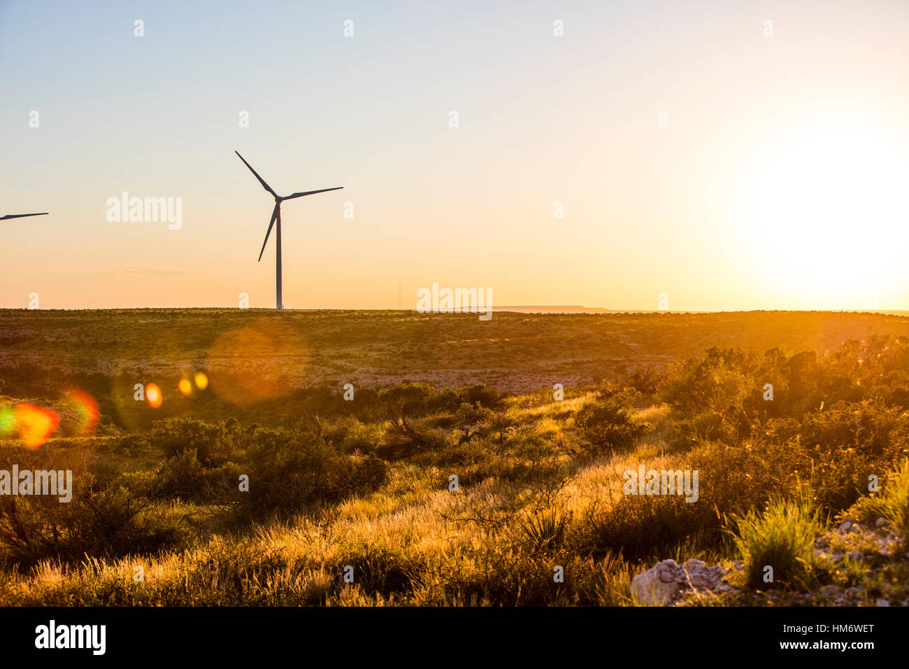 Windmill field hi-res stock photography and images - Alamy