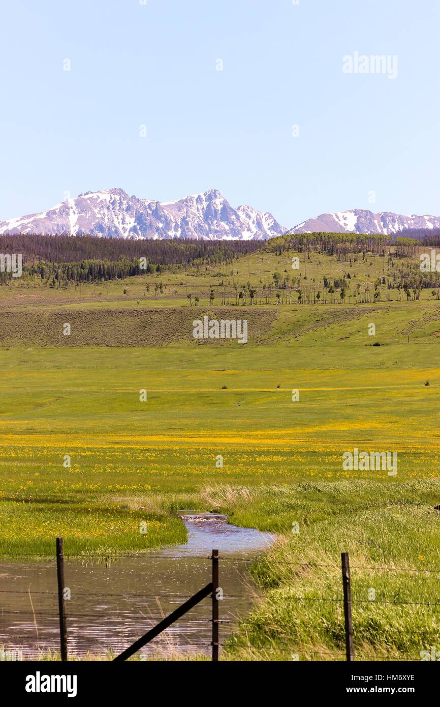 Rocky mountain meadow flowers usa hi-res stock photography and images ...