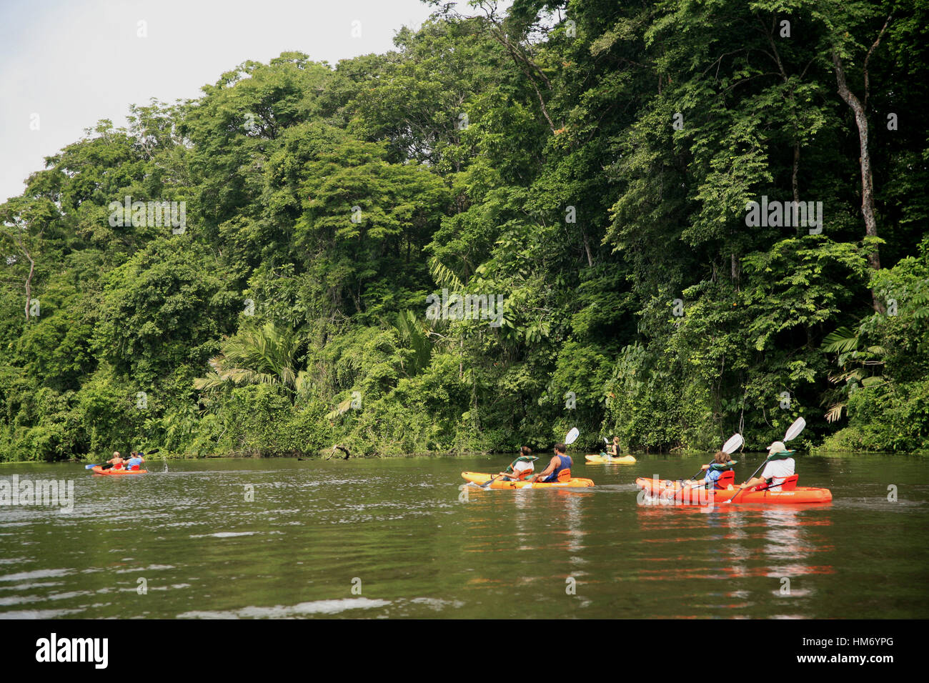 Tourists in Kayaks / Turistas en Kayak Rainforest / Bosque Lluvioso ...