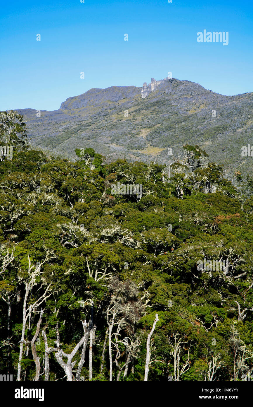 Los Crestones near Mount Chirripo, Costa Rica’s highest mountain ...