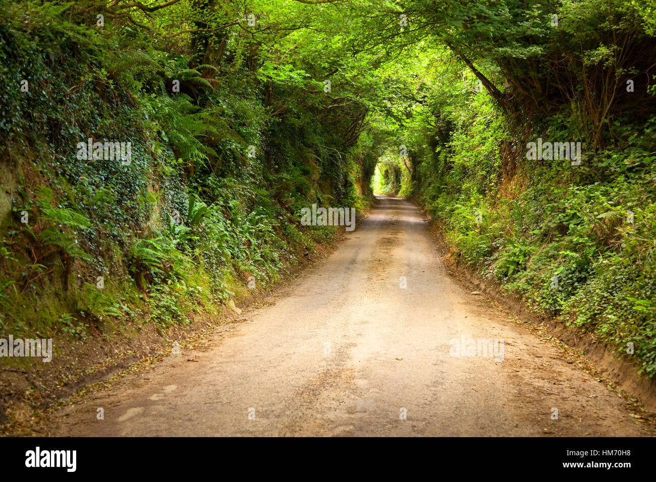 Sunken Road High Resolution Stock Photography and Images - Alamy