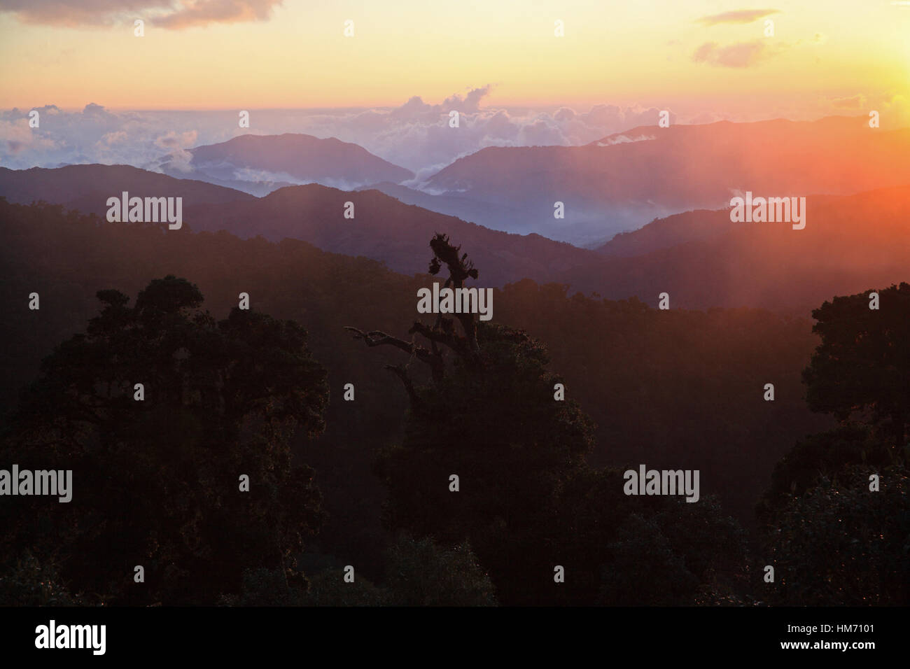 Cerro De La Muerte Costa Rica High Resolution Stock Photography and ...