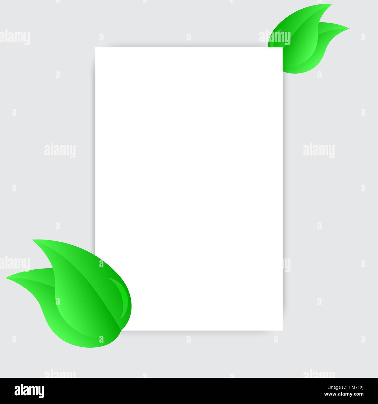 Blank white sheet paper and green fresh spring leaves. Frame template ...