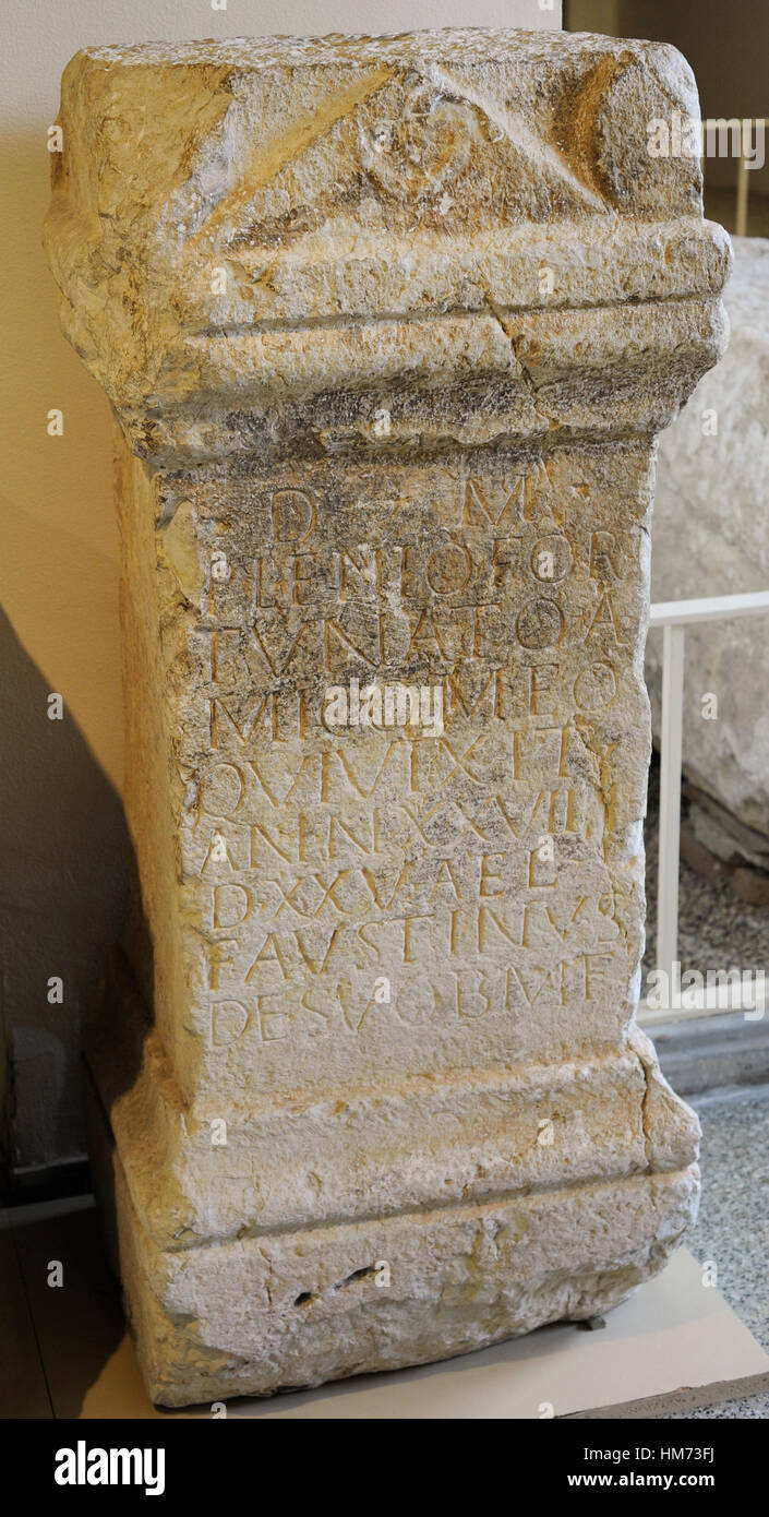 Lenius hi-res stock photography and images - Alamy