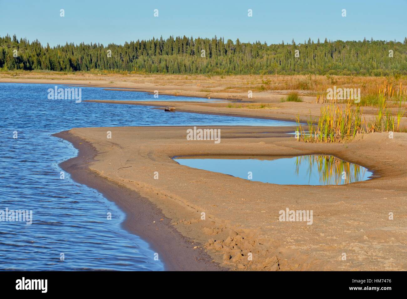 Buffalo alberta canada unesco hi-res stock photography and images - Alamy