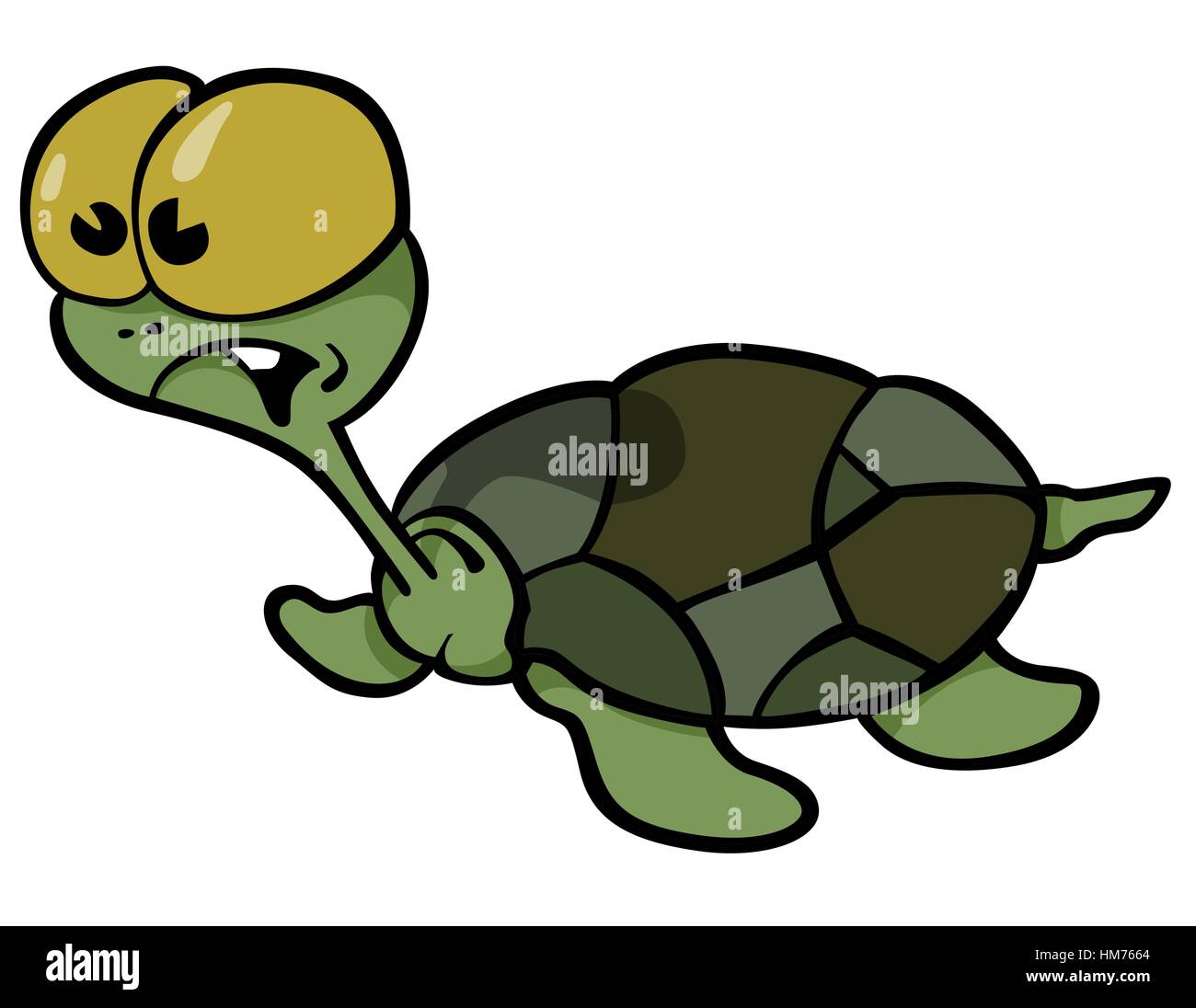 Surprised Green Turtle Stock Vector Image & Art - Alamy