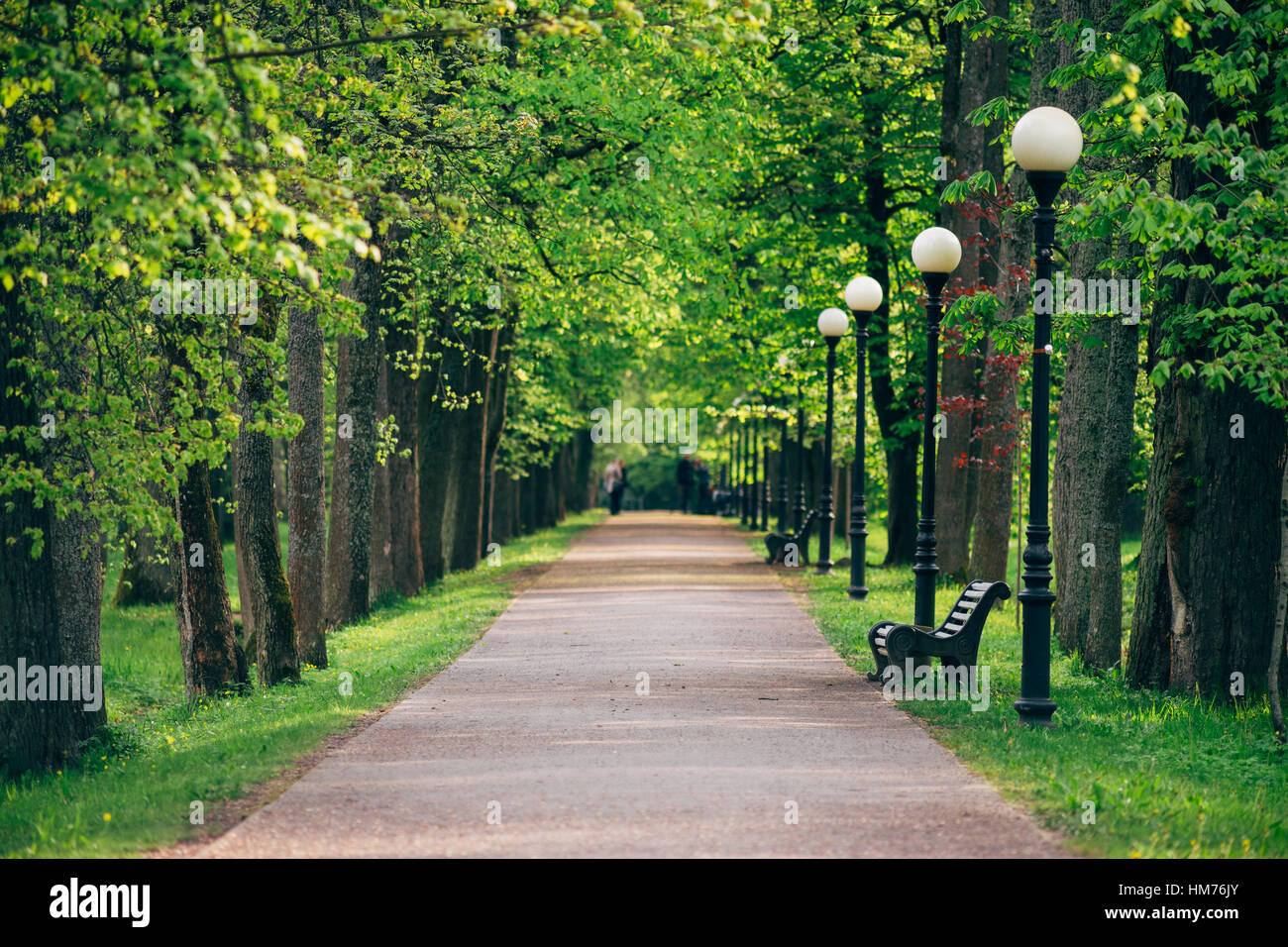 Selective perspective hi-res stock photography and images - Alamy