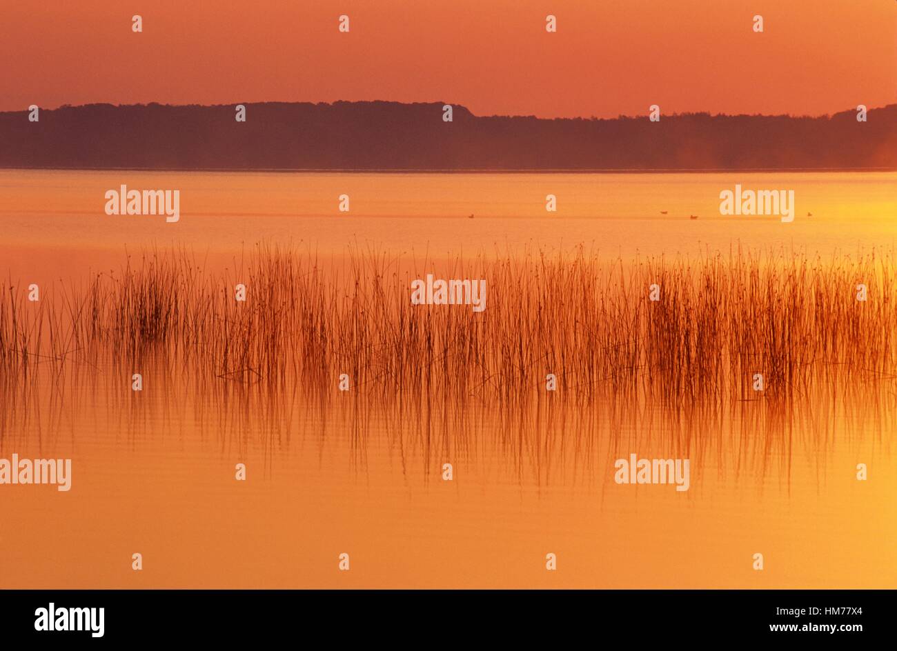 Manitoulin Island Mindemoya High Resolution Stock Photography and ...