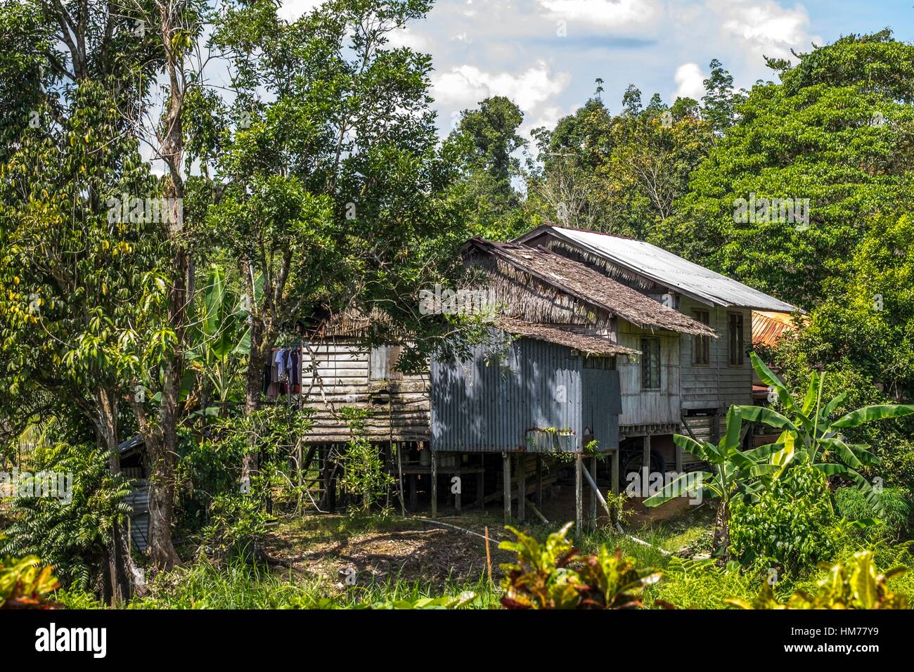 Land dayak bidayuh wooden house hi-res stock photography and images - Alamy
