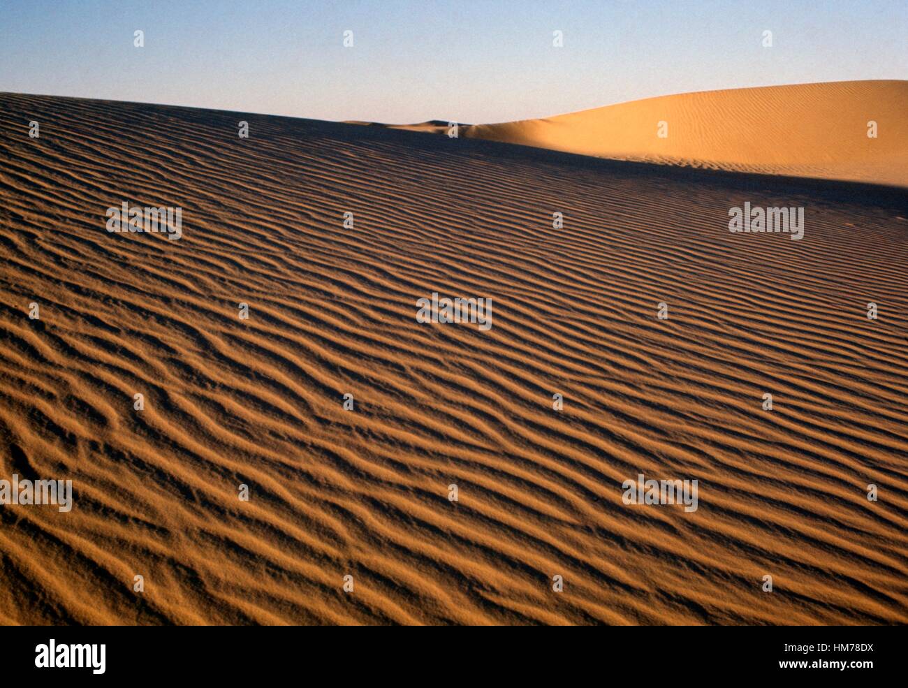 Lines of sand shaped by the wind, Tenere (UNESCO World Heritage List ...