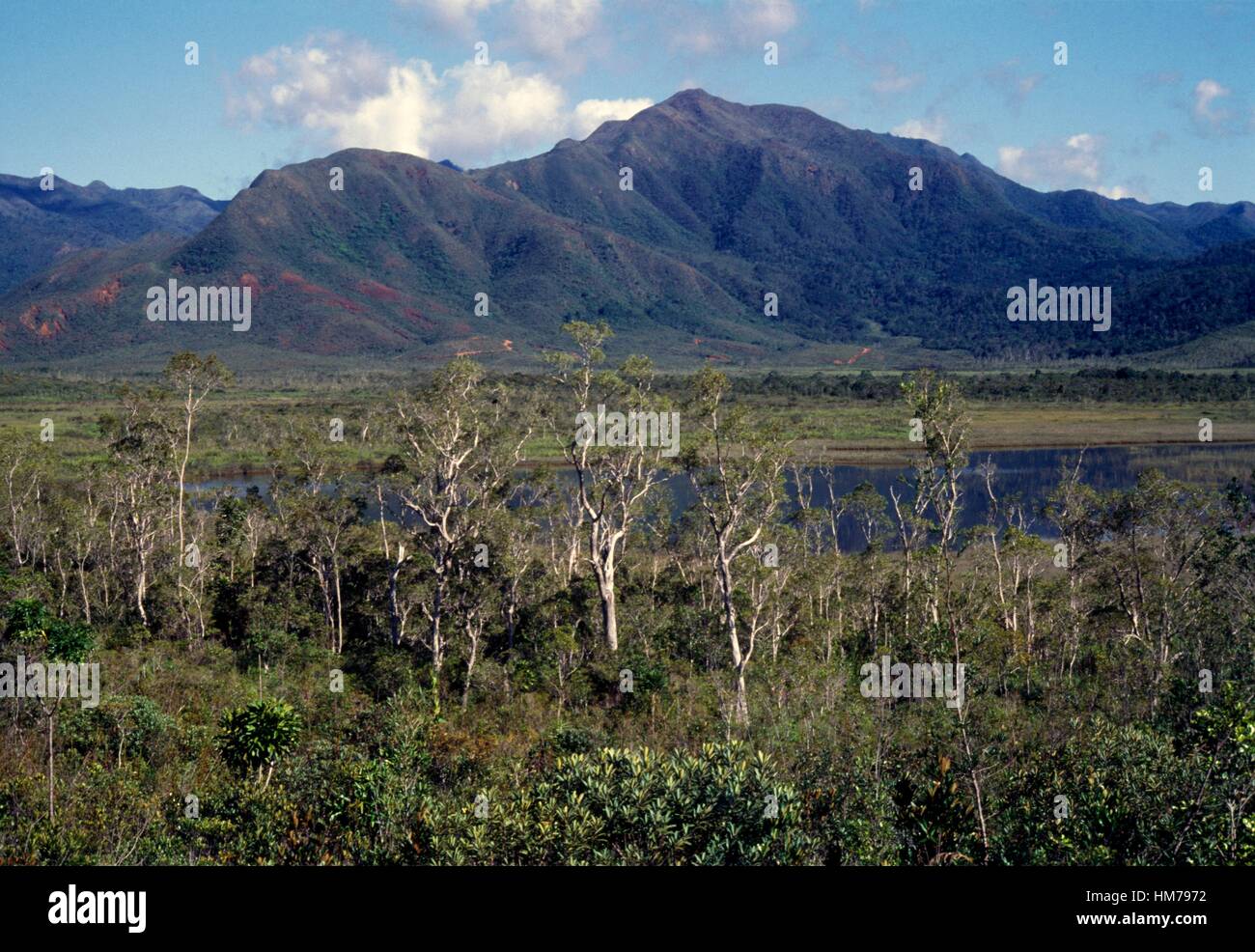 Trees and bushes with mountain ranges in the background, New Caledonia ...
