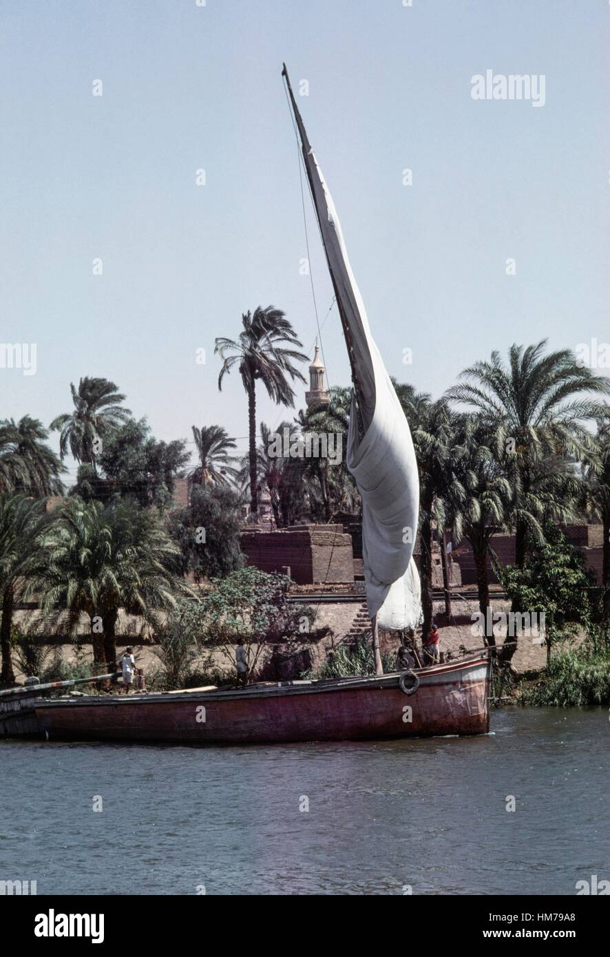 Felucca (sailing boat) on the Nile river, Egypt Stock Photo - Alamy