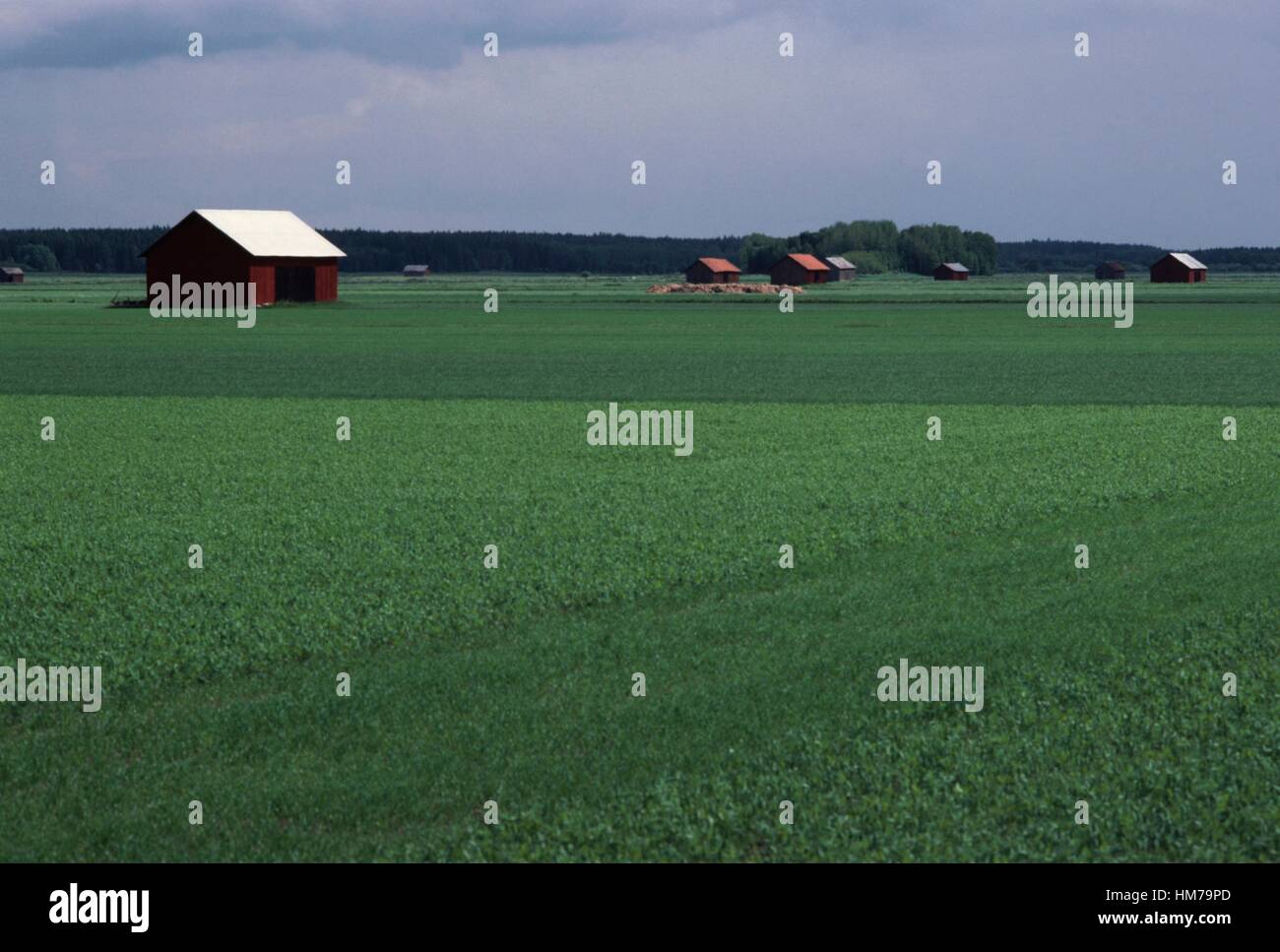 Fields in Uppland province, Svealand, Sweden Stock Photo - Alamy