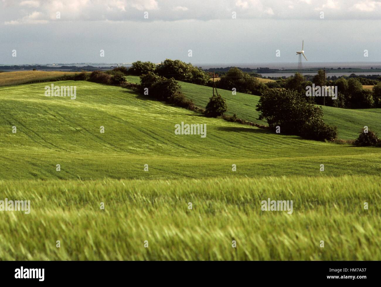 Rural landscape on Funen island, Syddanmark, Denmark Stock Photo - Alamy