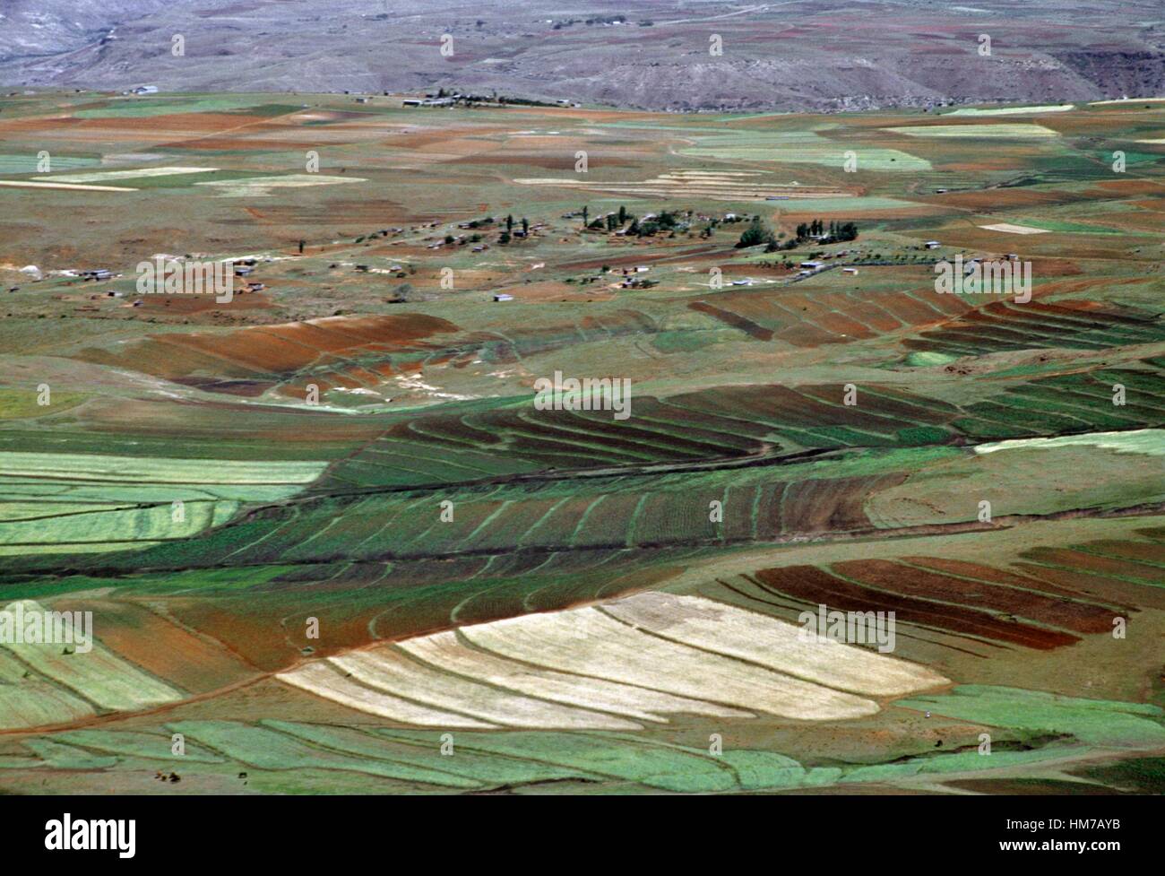 Agricultural landscape near Mohale's Hoek, Lesotho Stock Photo - Alamy