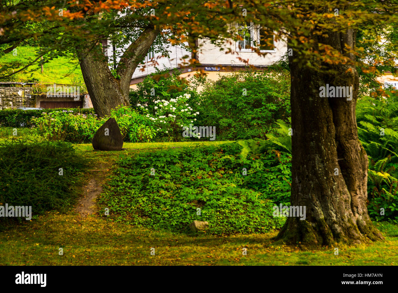 duszniki,duszniki zdroj,duszniki park,bad reinerz,park,trees,city park ...
