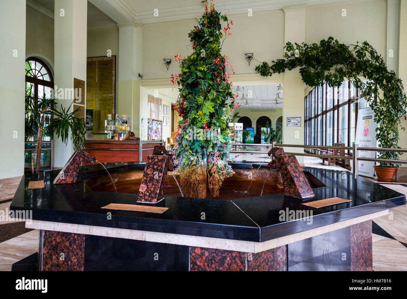 duszniki,duszniki zdroj,duszniki park,bad reinerz,park,trees,city park ...