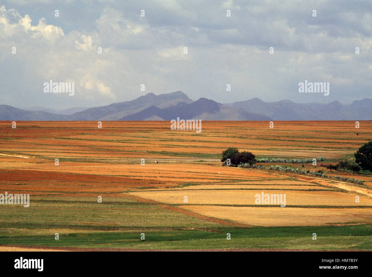 Leribe district hi-res stock photography and images - Alamy