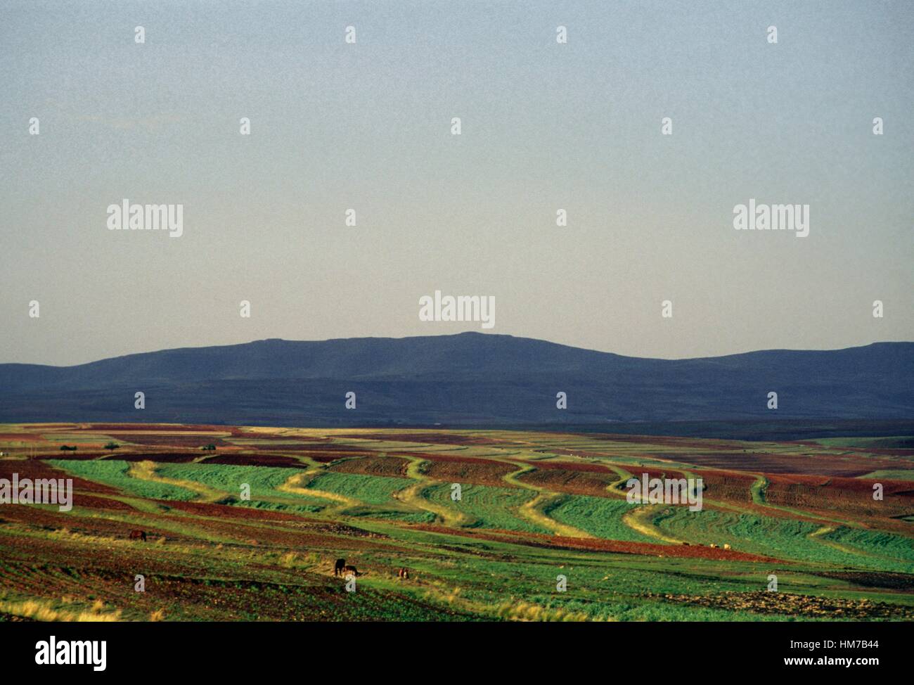 Leribe district hi-res stock photography and images - Alamy