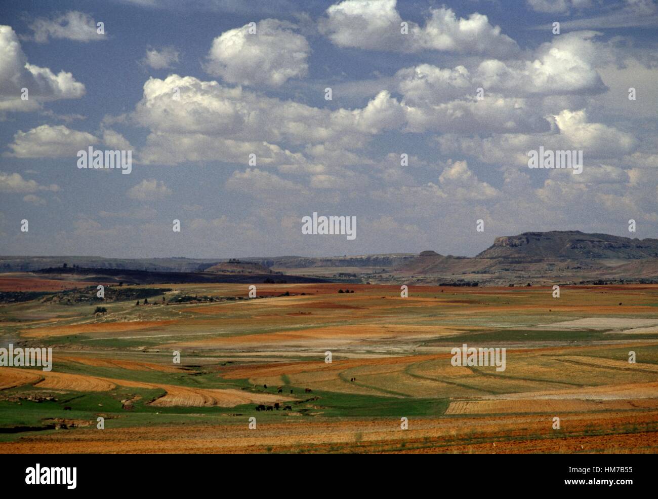 Agricultural landscape, Leribe District, Lesotho Stock Photo - Alamy