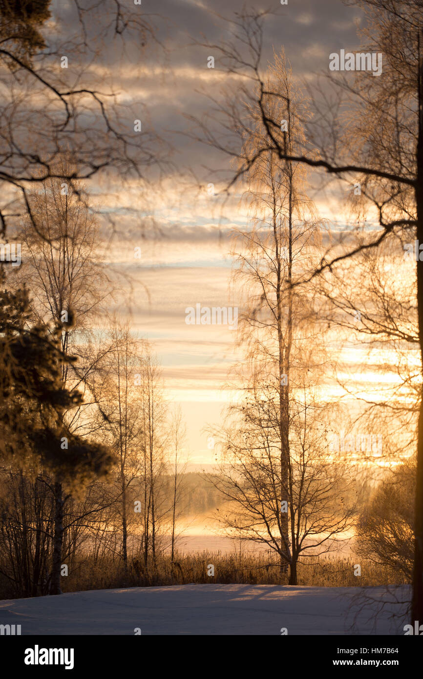 4 Season winter,beautiful,beauty of nature,calm,chilly,climate,closeup ...