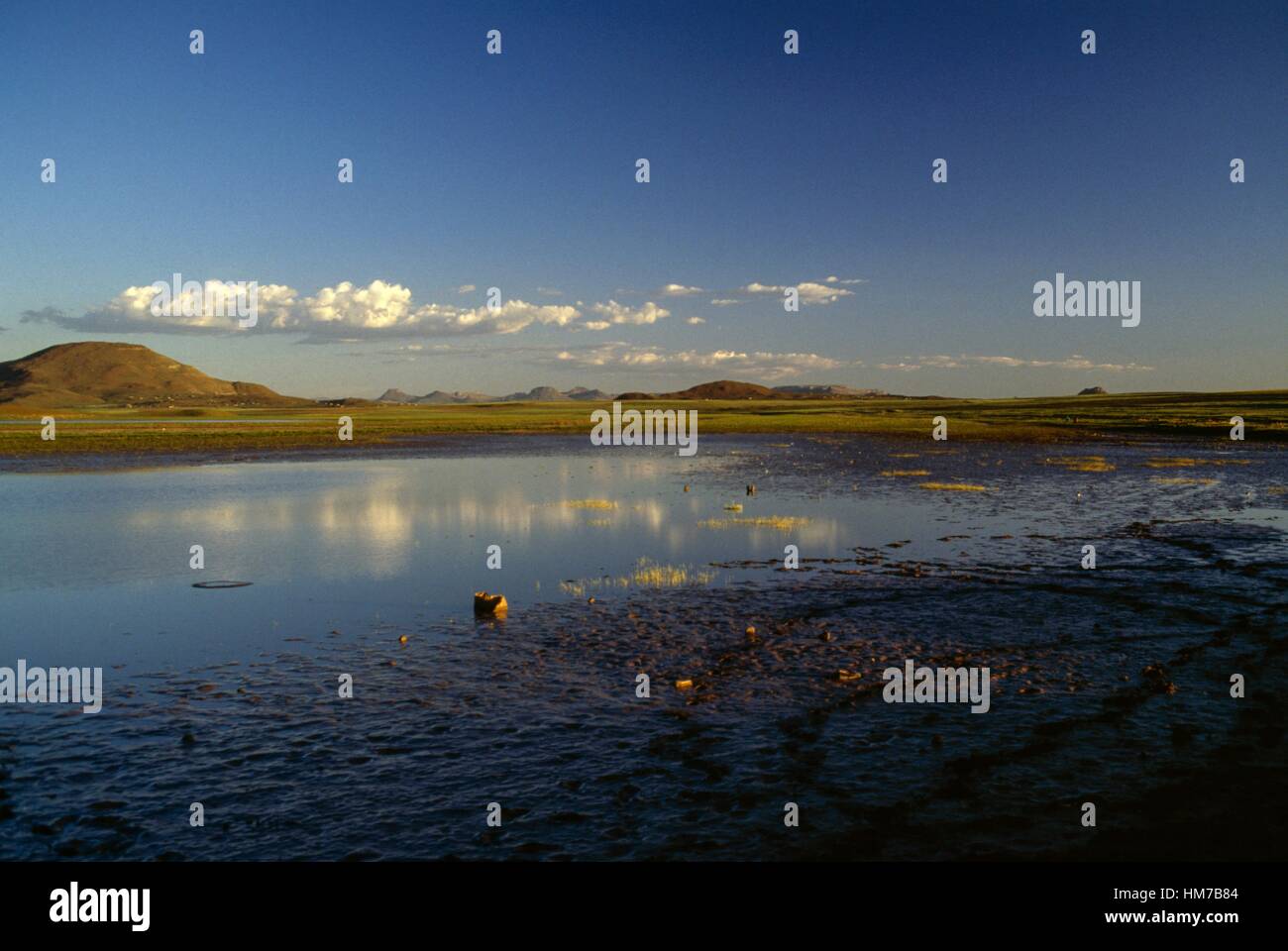 Mafeteng hi-res stock photography and images - Alamy