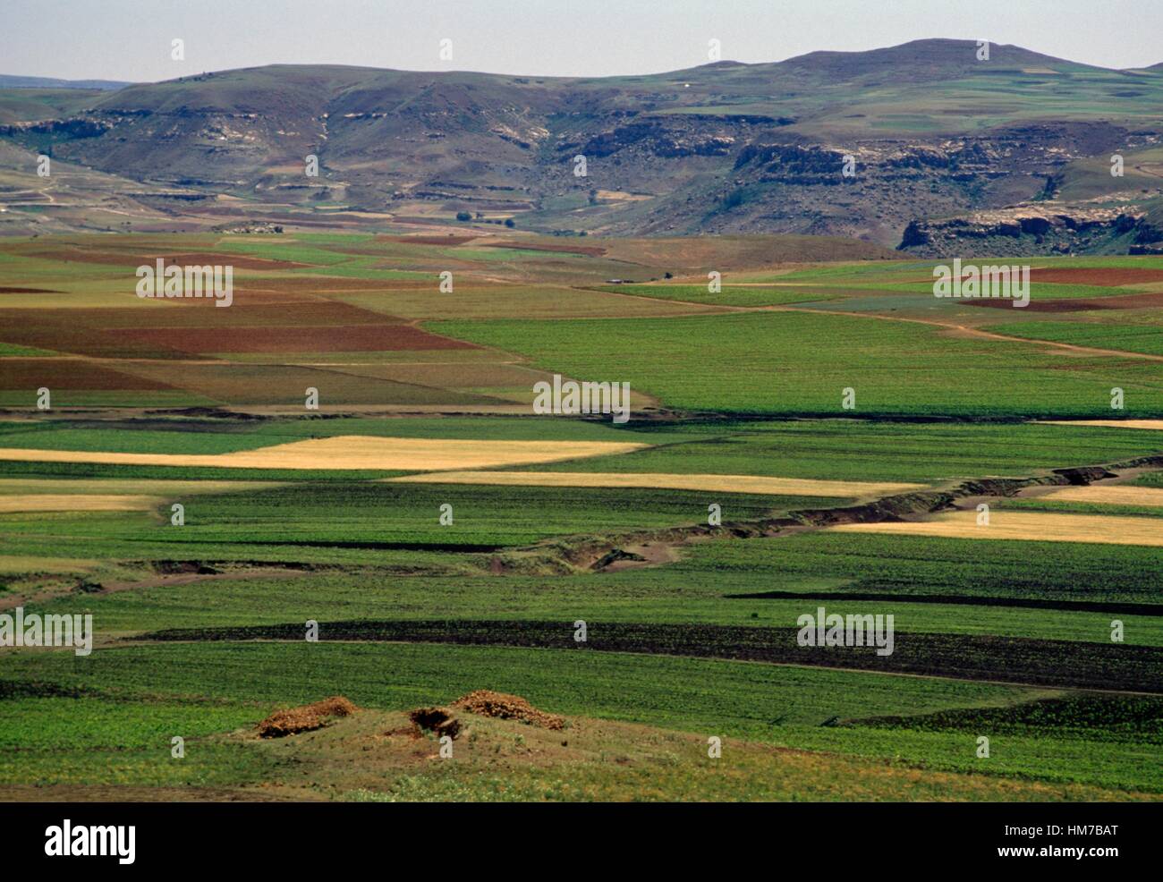 Agricultural landscape near Mohale's Hoek, Lesotho Stock Photo - Alamy