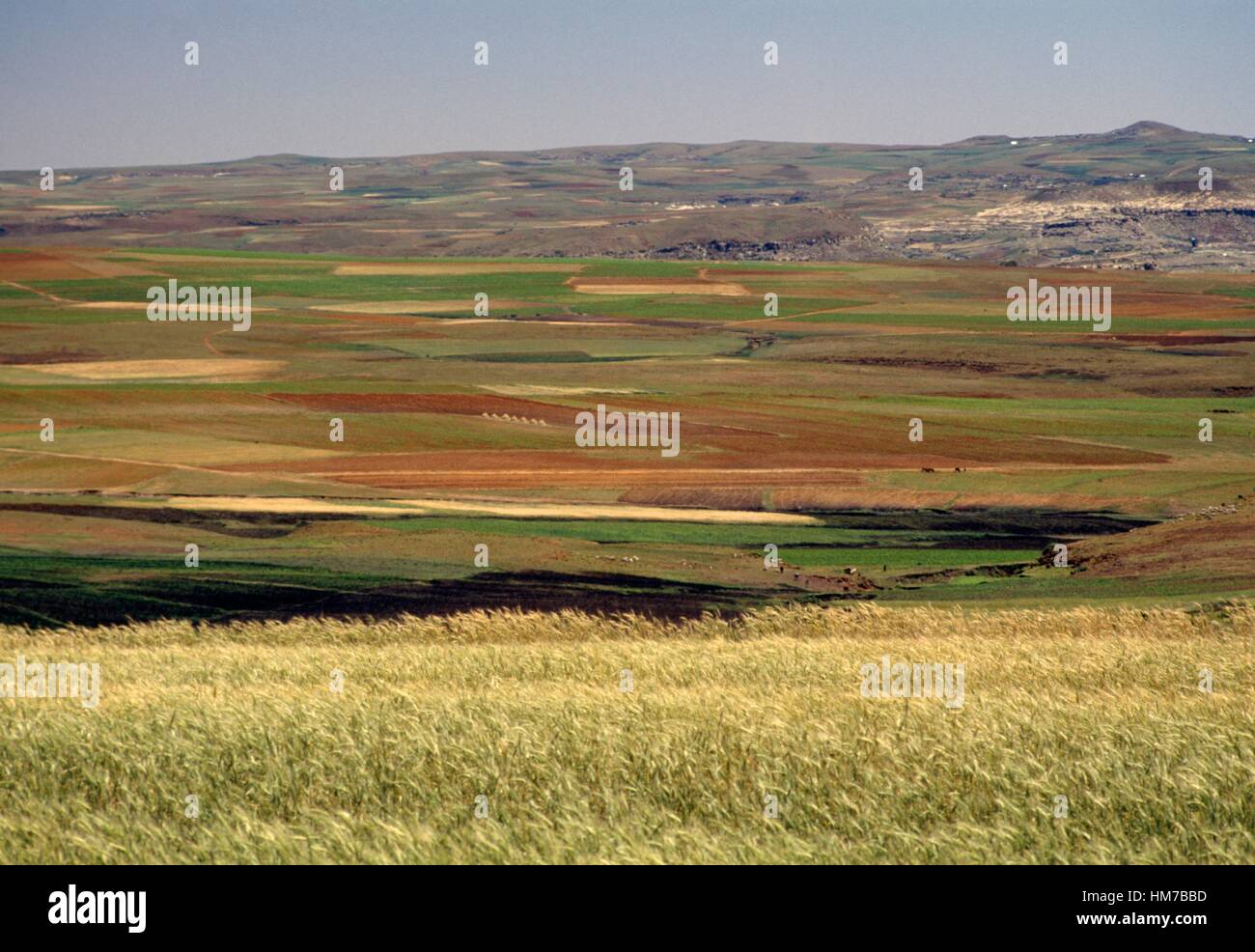Agricultural landscape near Mohale's Hoek, Lesotho Stock Photo - Alamy