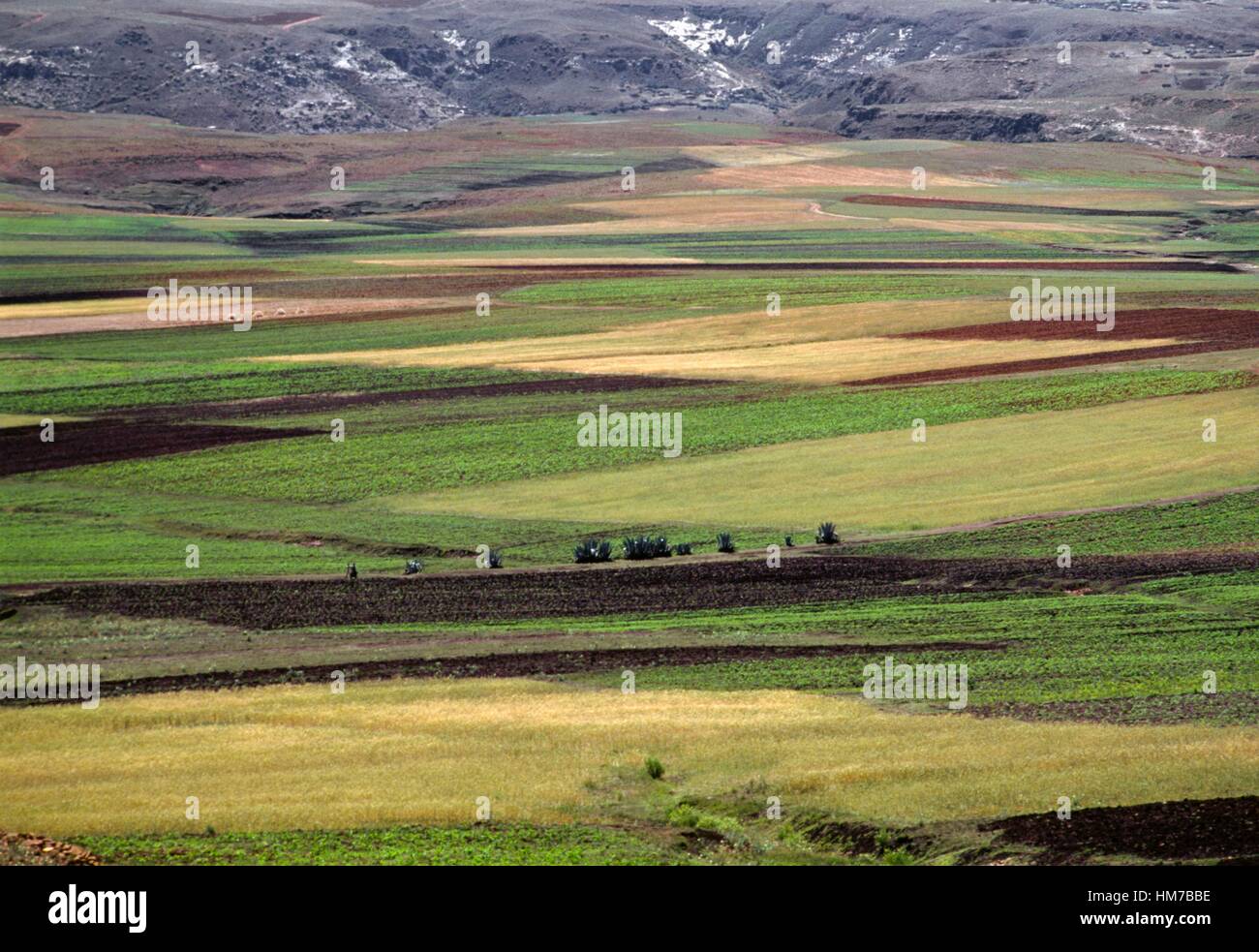 Agricultural landscape near Mohale's Hoek, Lesotho Stock Photo - Alamy