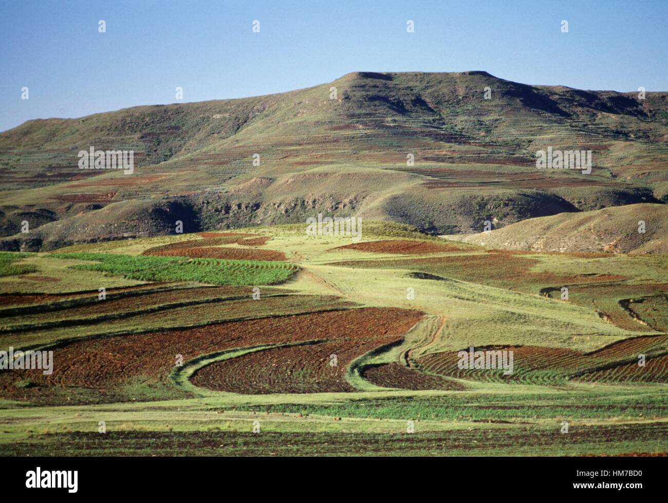 Agricultural landscape near Mohale's Hoek, Lesotho Stock Photo - Alamy