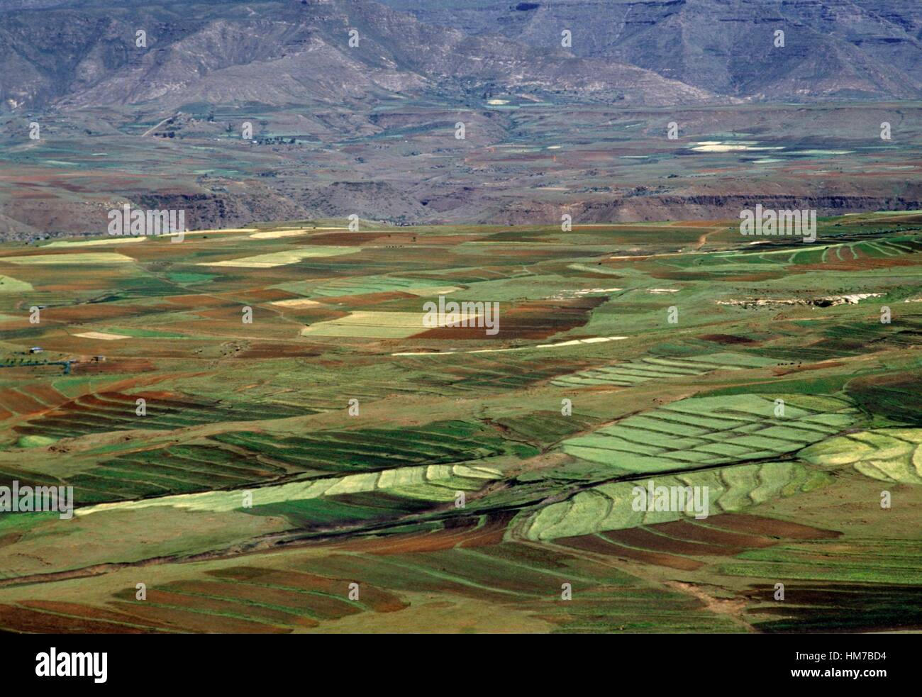 Agricultural landscape near Mohale's Hoek, Lesotho Stock Photo - Alamy