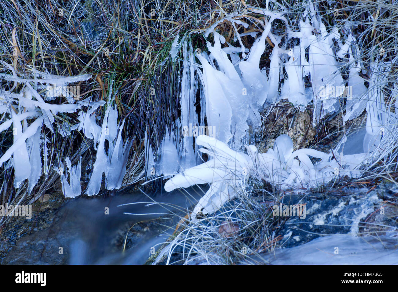 Plastic forms hi-res stock photography and images - Alamy