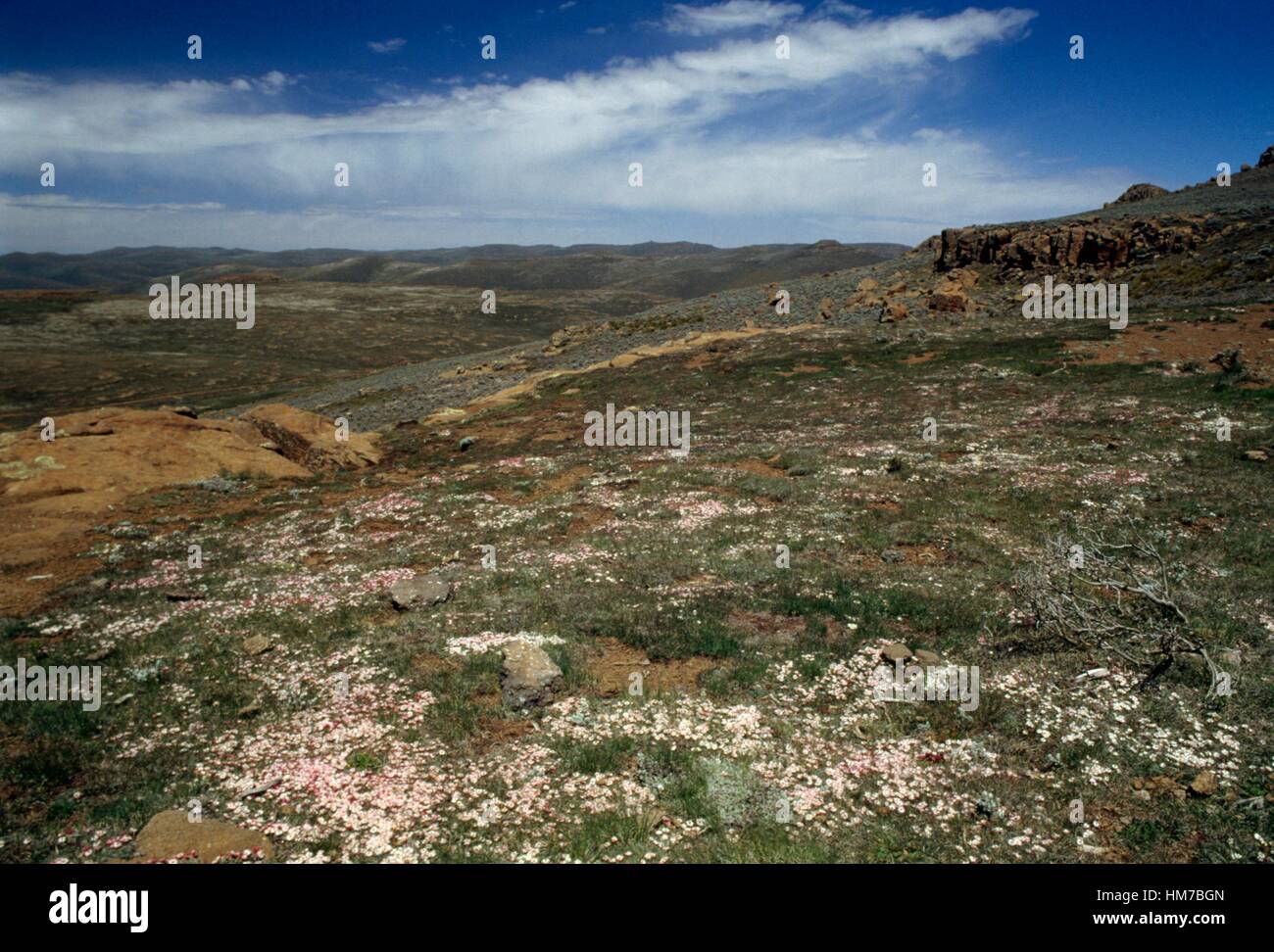 Mountain landscape, Mokhotlong District, Lesotho Stock Photo - Alamy