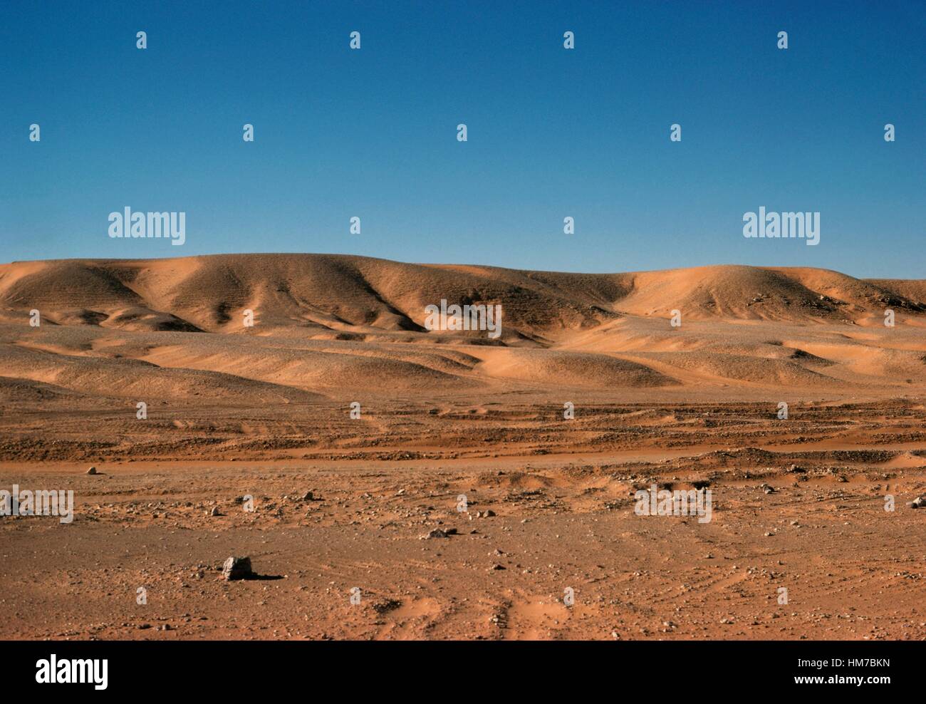 Ouargla algeria hi-res stock photography and images - Alamy