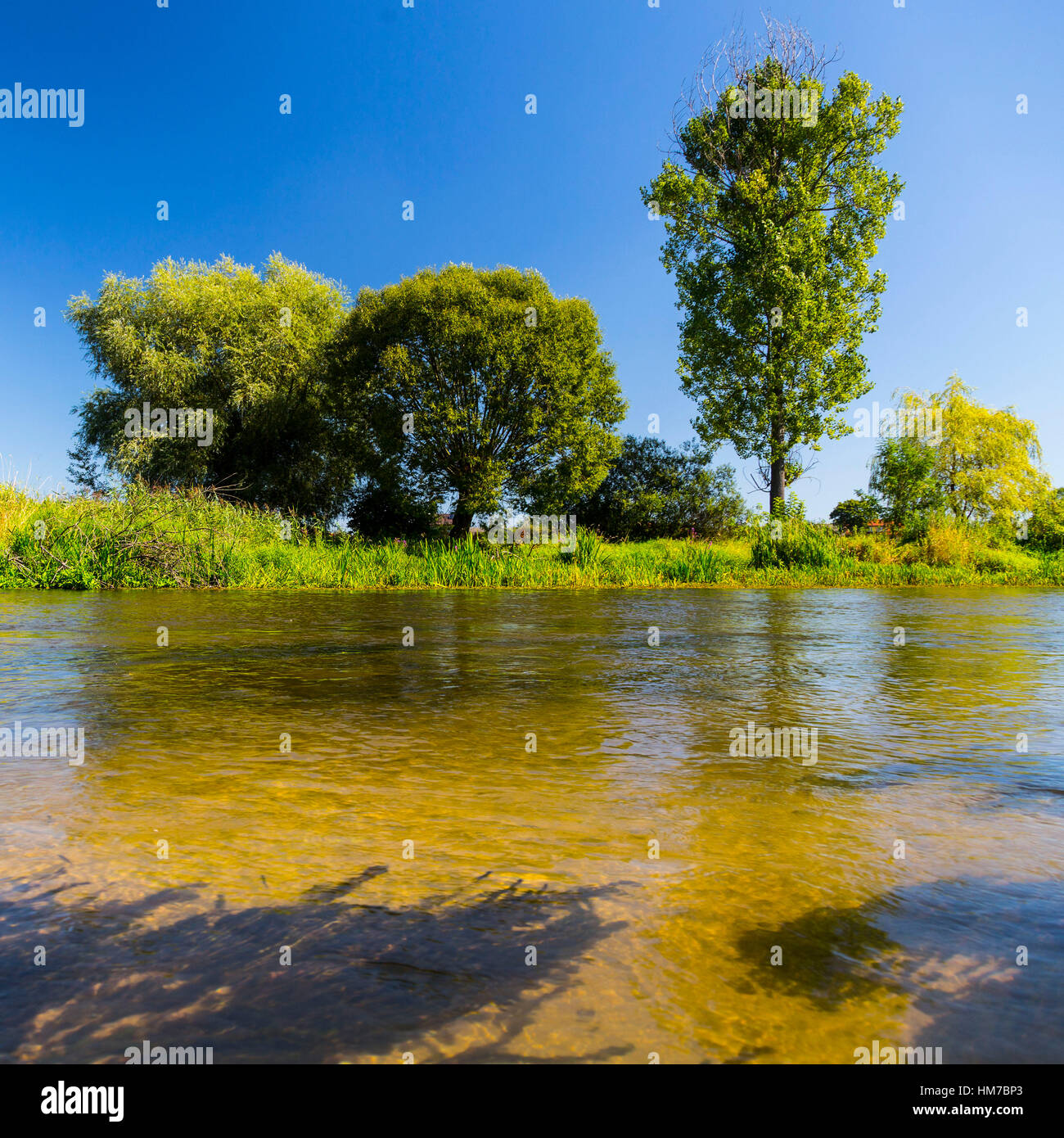 nida,nida river,river,river poland,river swietokrzyskie,river ponidzie ...
