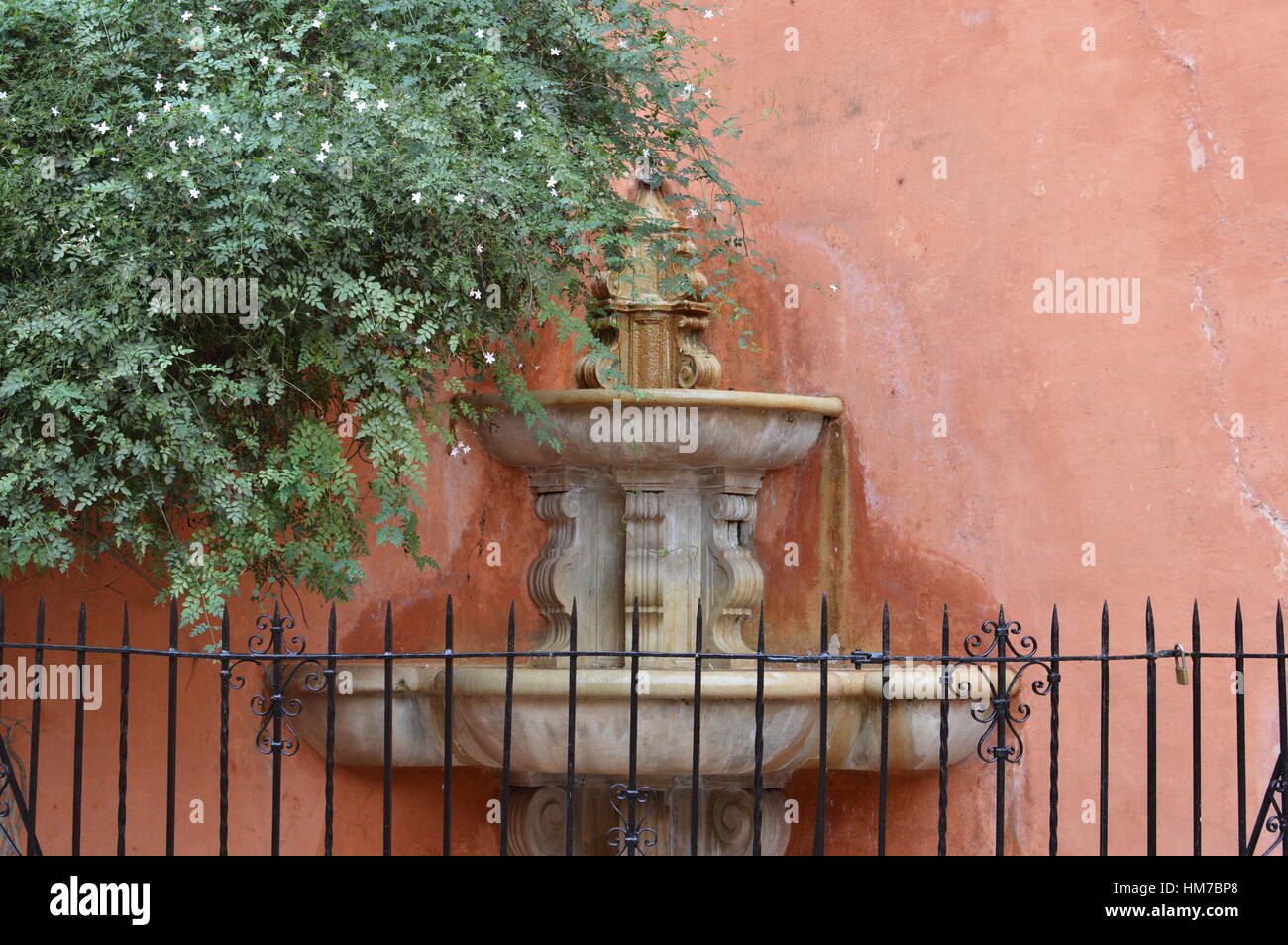 Coral stone architecture hi-res stock photography and images - Alamy