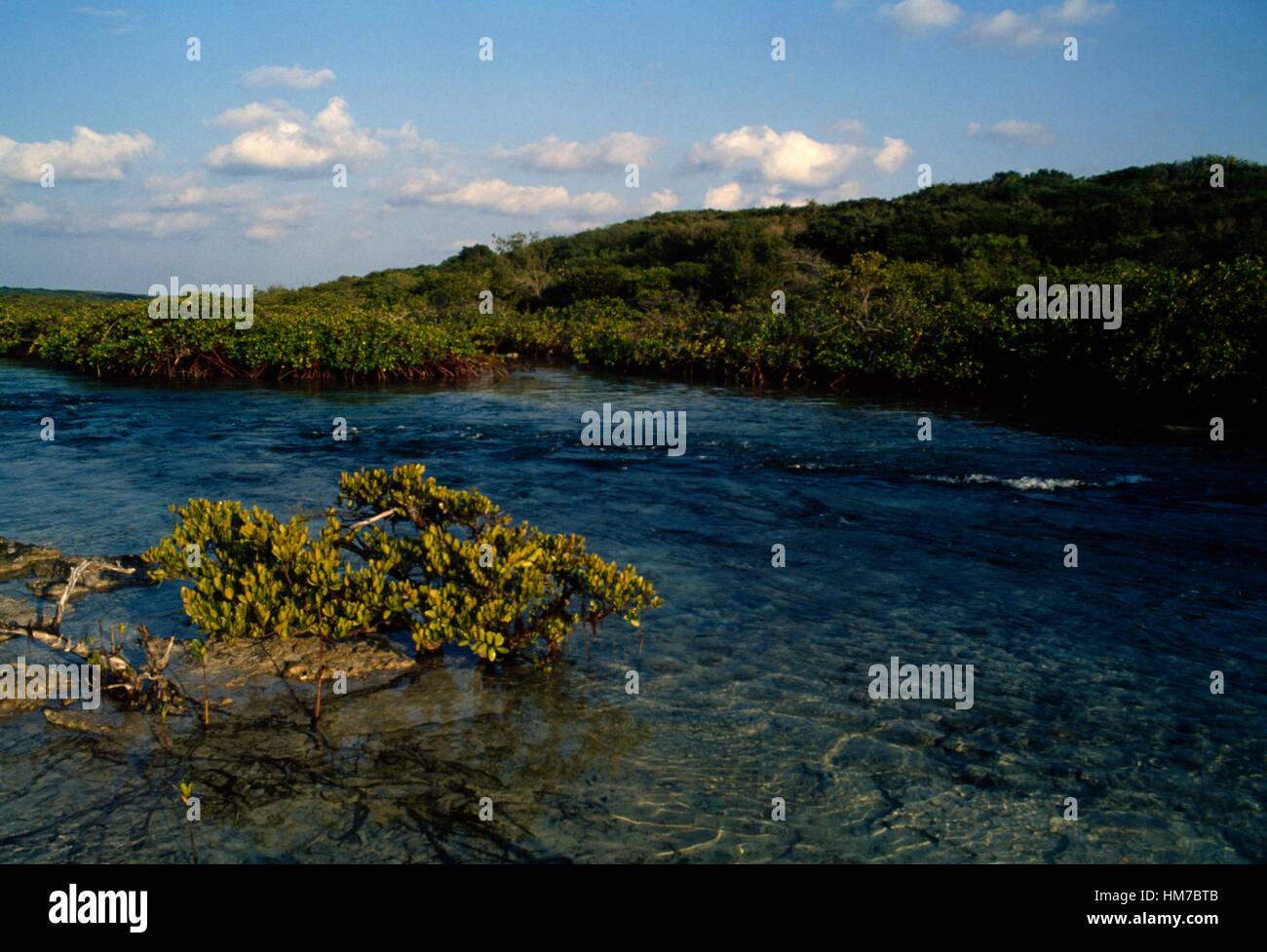 Cape santa maria bahamas hi-res stock photography and images - Alamy