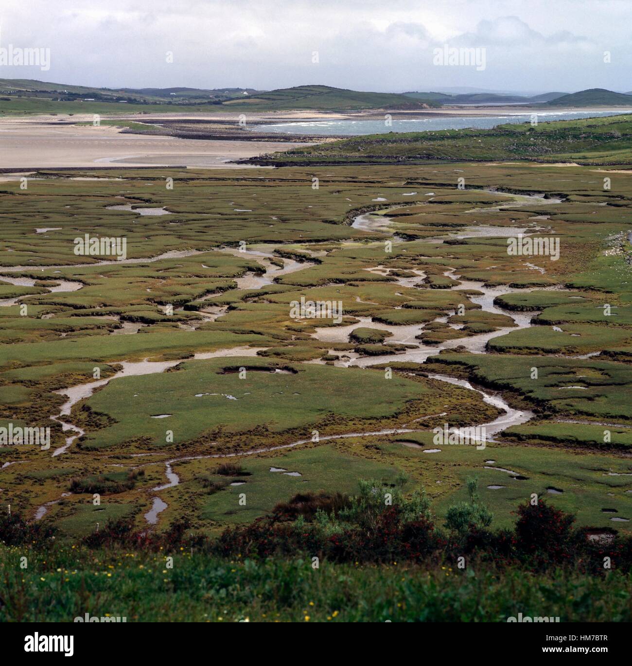 Beach and wetlands, Mulranny Strand, County Mayo Ireland Stock Photo ...