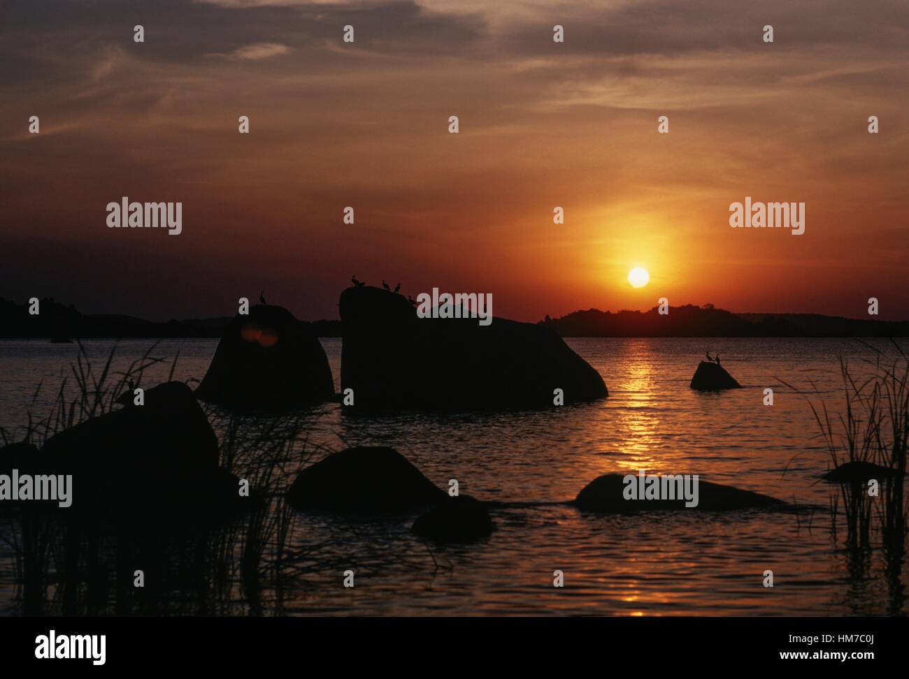 Tanzania lake victoria hi-res stock photography and images - Alamy