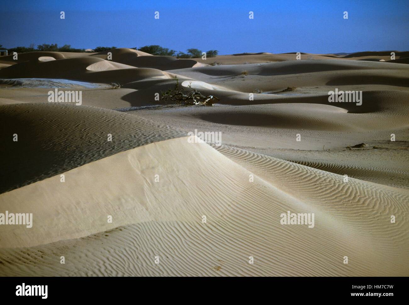 Sand dunes near Nouakchott, Sahara Desert, Mauritania Stock Photo - Alamy